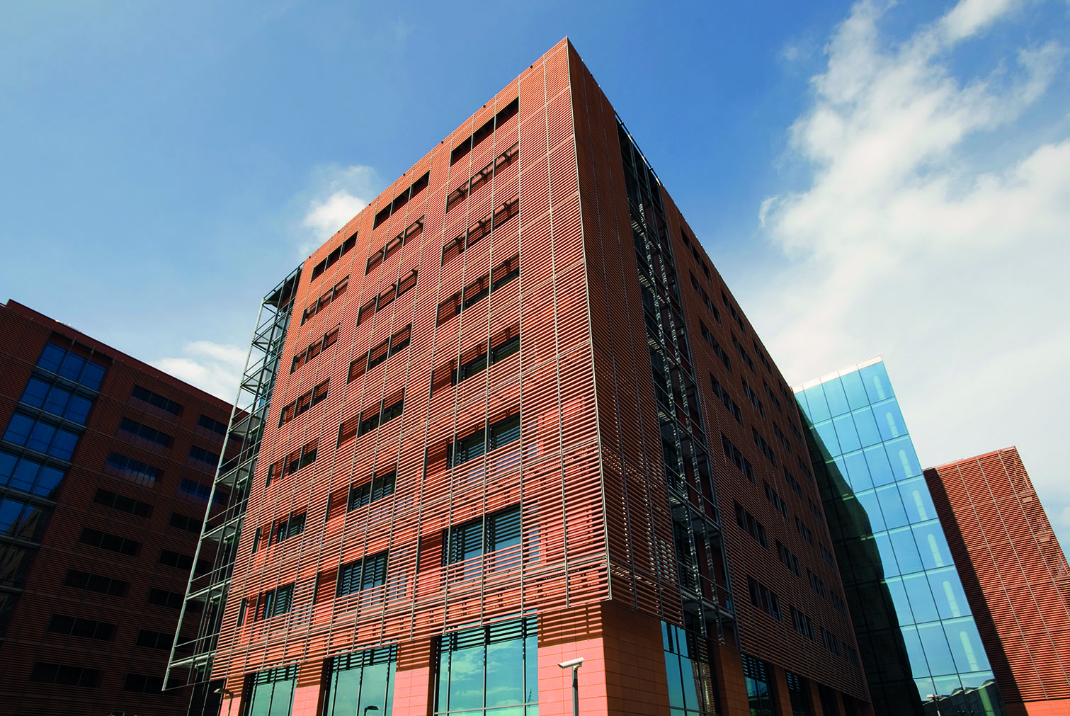 Edison Business Center Development - Focchi