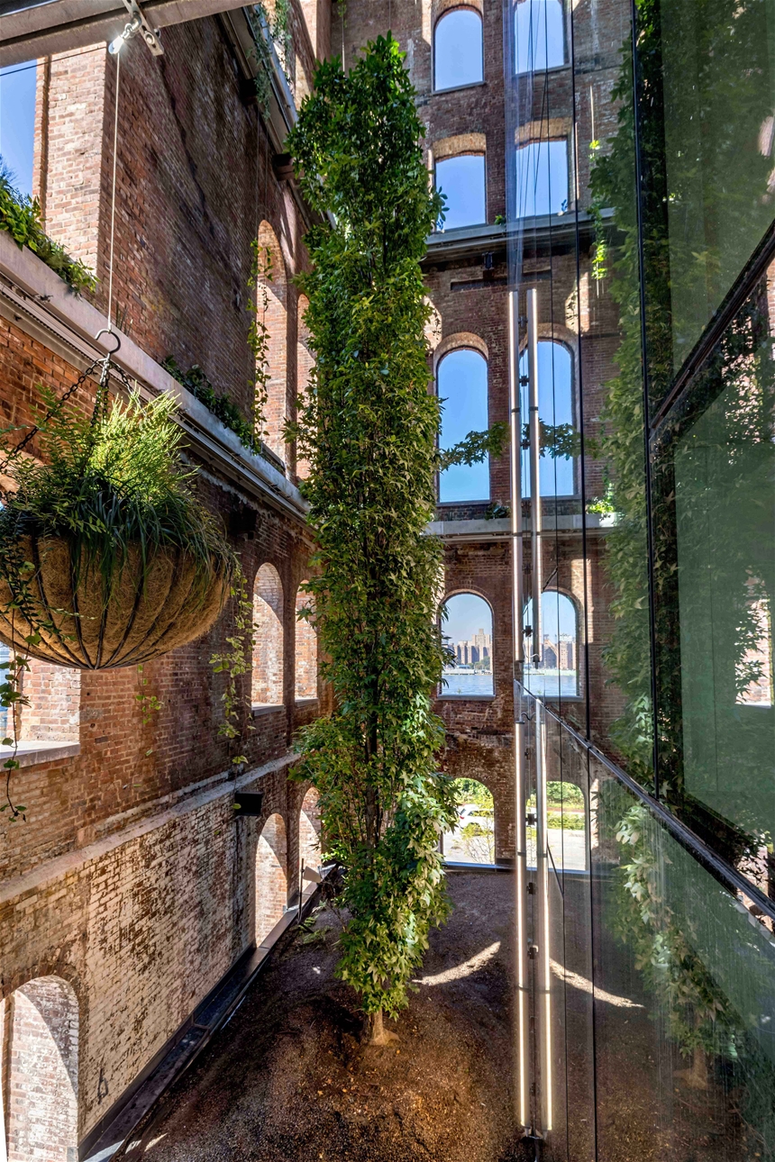 Domino Sugar Refinery - Focchi